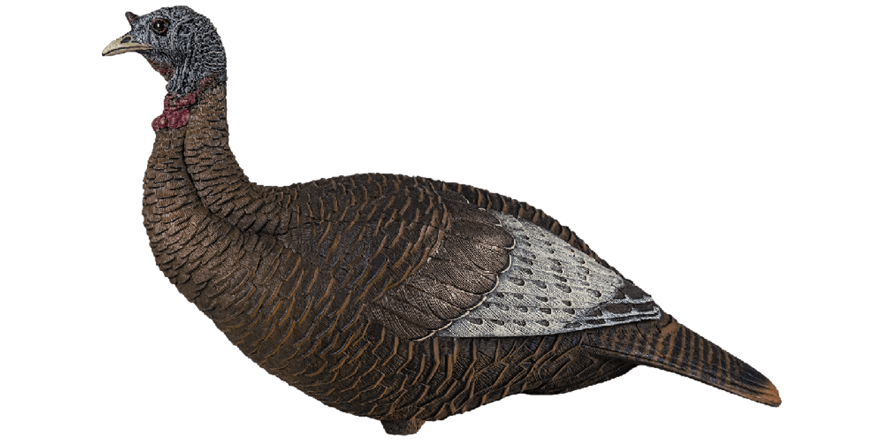 Flextone: Upright Hen – Cajun Lights