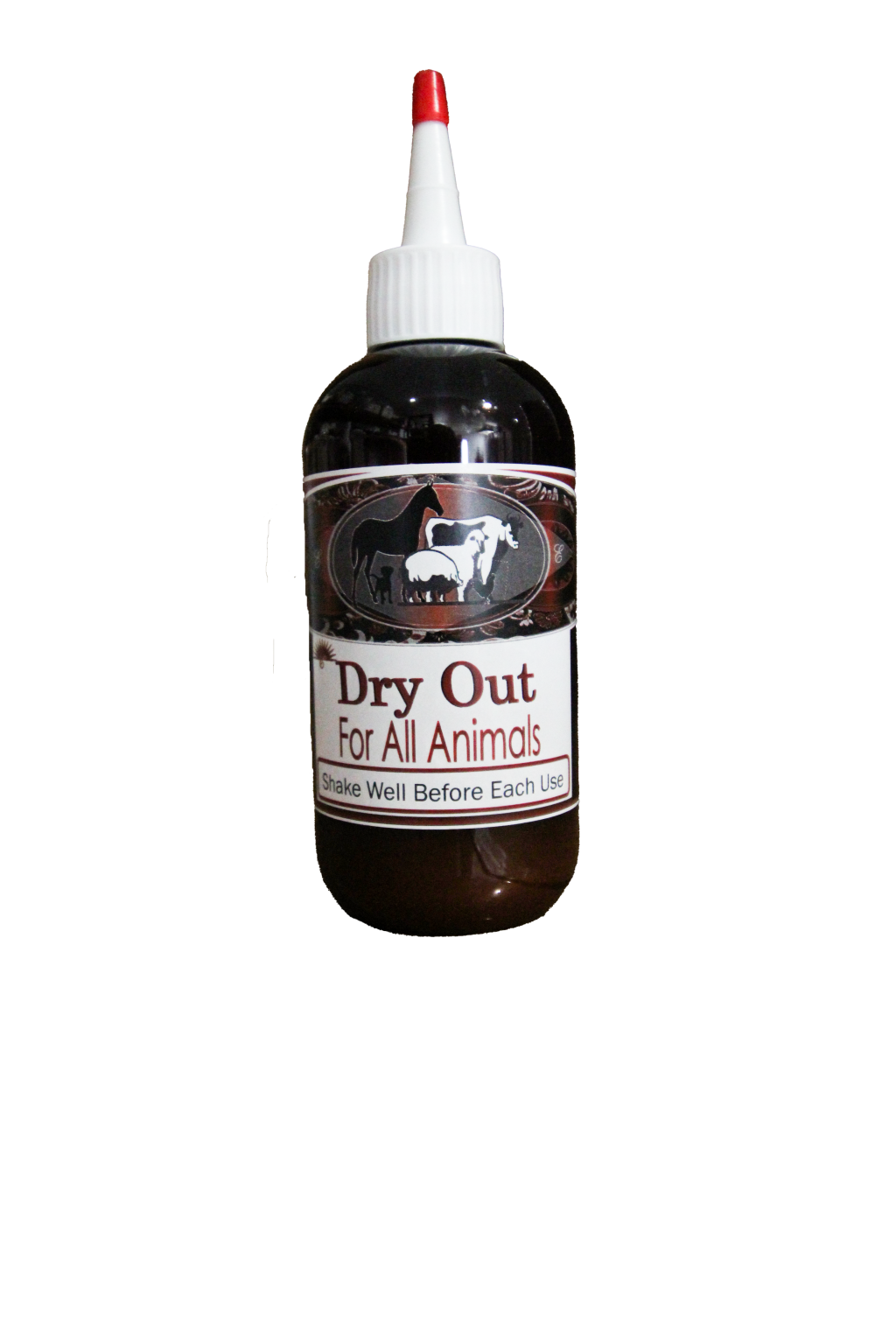 Dry Out – Cajun Lights Dry Out – Cajun Lights