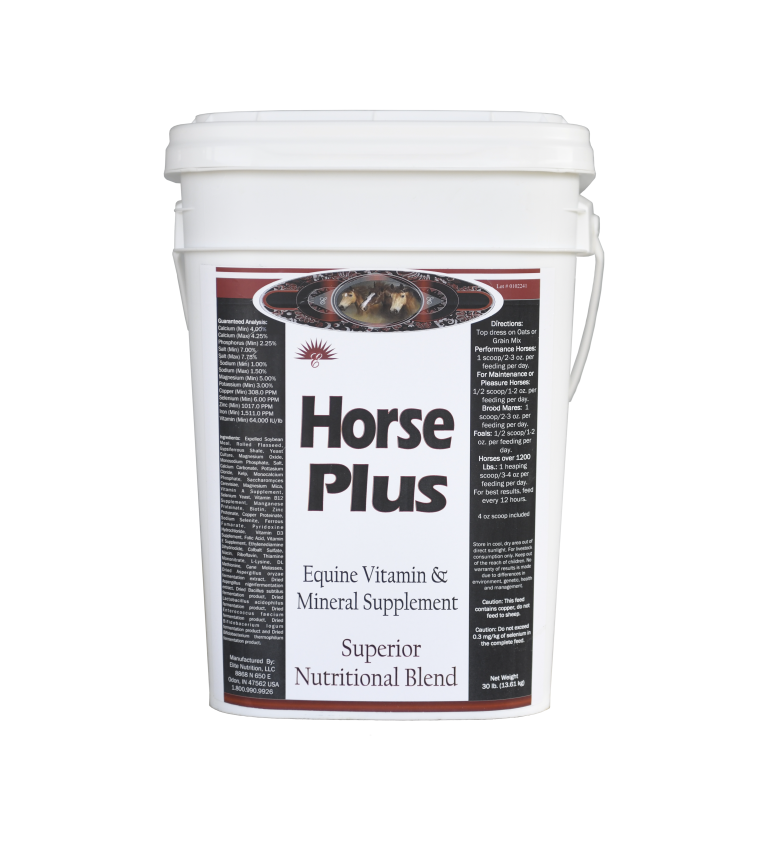 Horse Plus – Cajun Lights