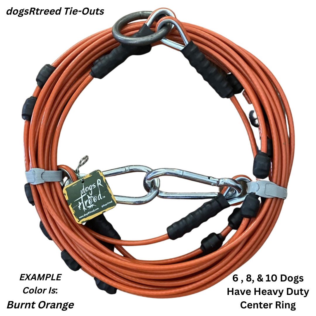 DOG SAFETY TRAVEL TIE-OUTS - dogs R treed – Cajun Lights