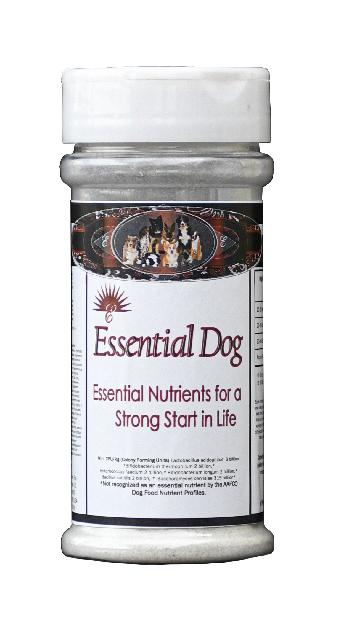 Essential Dog – Cajun Lights