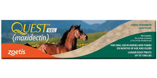 Quest Plus Gel – Cajun Lights