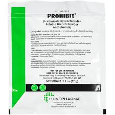 Prohibit Packet 52 gm – Cajun Lights
