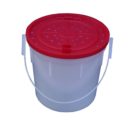 Minnow Bucket – Cajun Lights